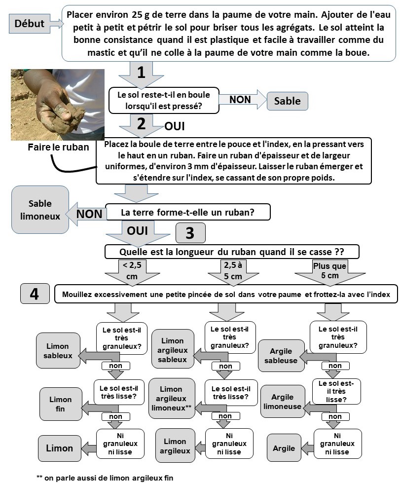 flow_diagram_feelmethod_usda_francais – Smallholder Soil Health Assessment